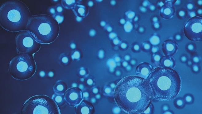 Live Cell Imaging Using Holotomography - Tech Briefs