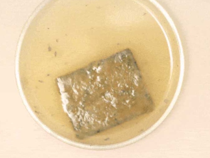 Time-Lapse Shows New 'PDK' Recyclable Plastic Breaking Down - Tech Briefs