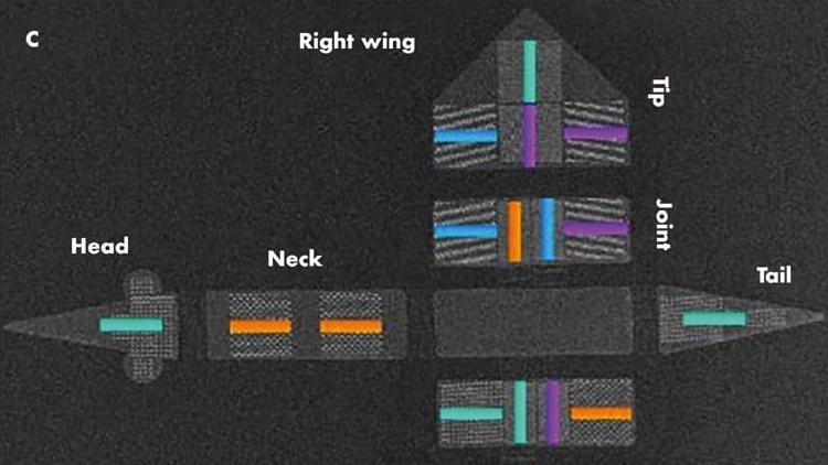 Intelligent Microrobots - Tech Briefs