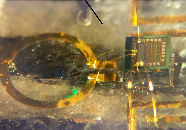 Implantable Transmitter Provides Wireless Option for Biomedical Devices ...