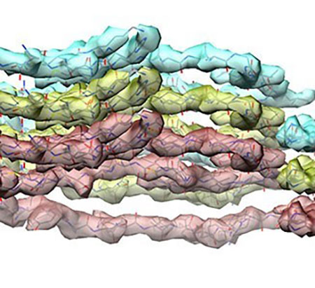 First Atomic-Level Imaging of Lethal Prions - Tech Briefs