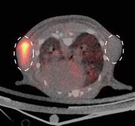 Method from Microscopy Used in Whole-Body Imaging - Tech Briefs